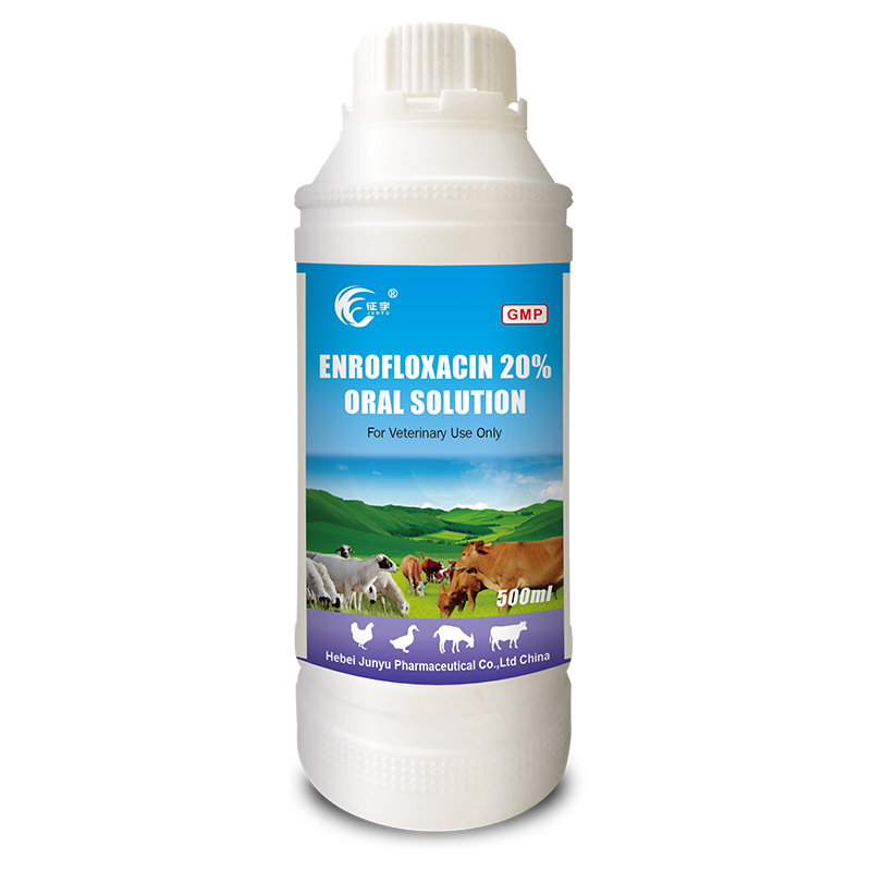 Wholesale ENROFLOXACIN 20% ORAL SOLUTION Manufacturer and Supplier ...