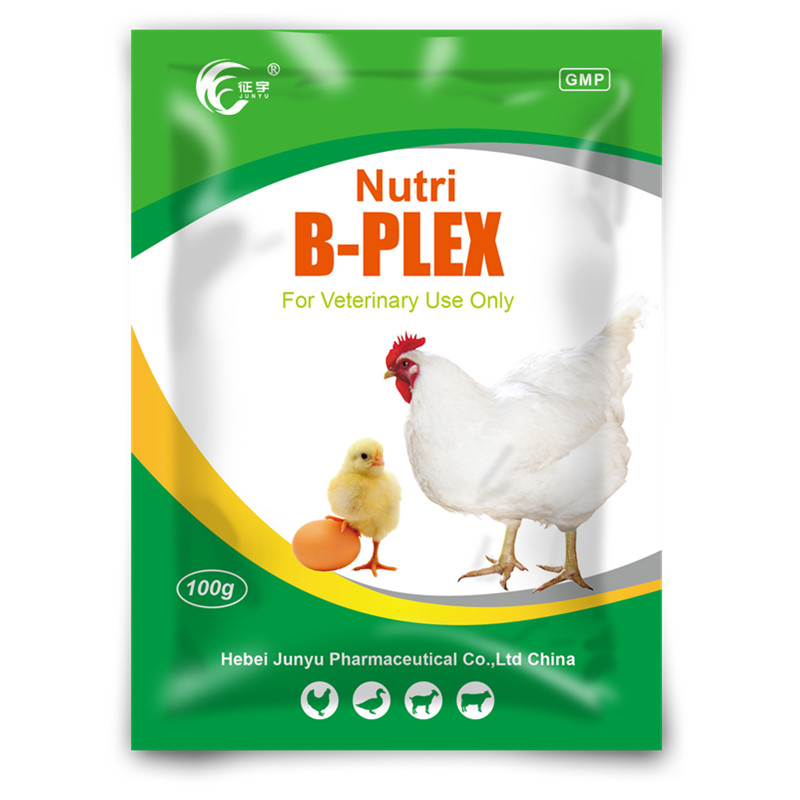 Wholesale Nutri B-PLEX-Poultry Complex B Powder Manufacturer and ...