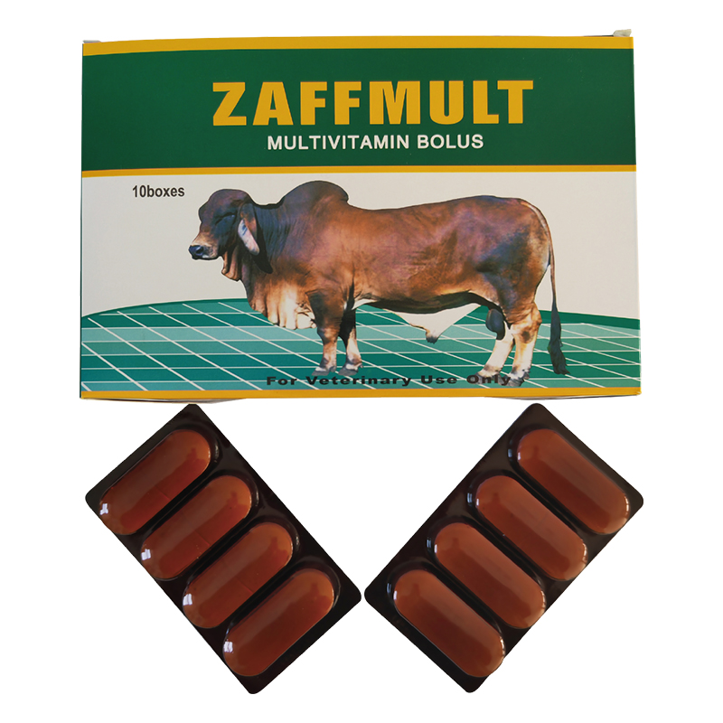 Wholesale MULTIVITAMINS BOLUS Manufacturer and Supplier | Junyu Pharm