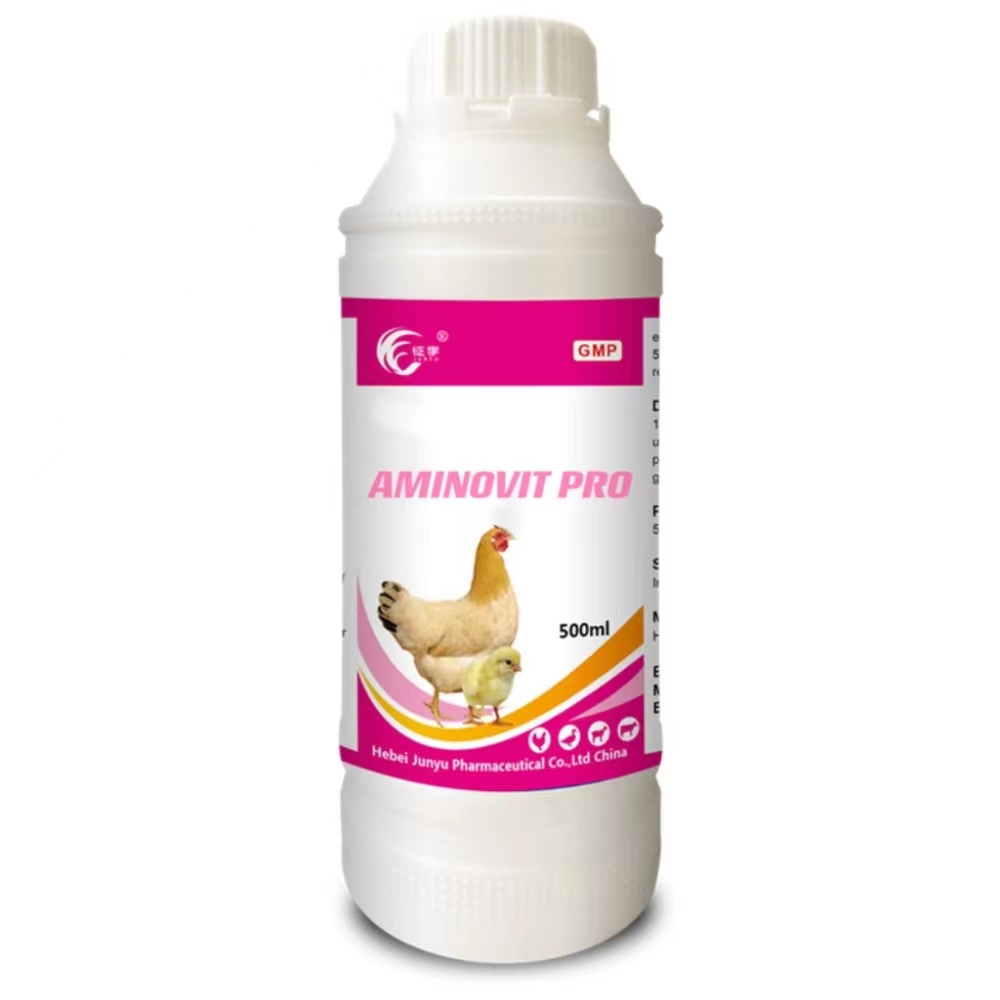 Wholesale AMINOVIT PRO Manufacturer and Supplier | Junyu Pharm