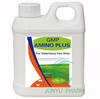 Wholesale AMINO PLUS Manufacturer and Supplier | Junyu Pharm
